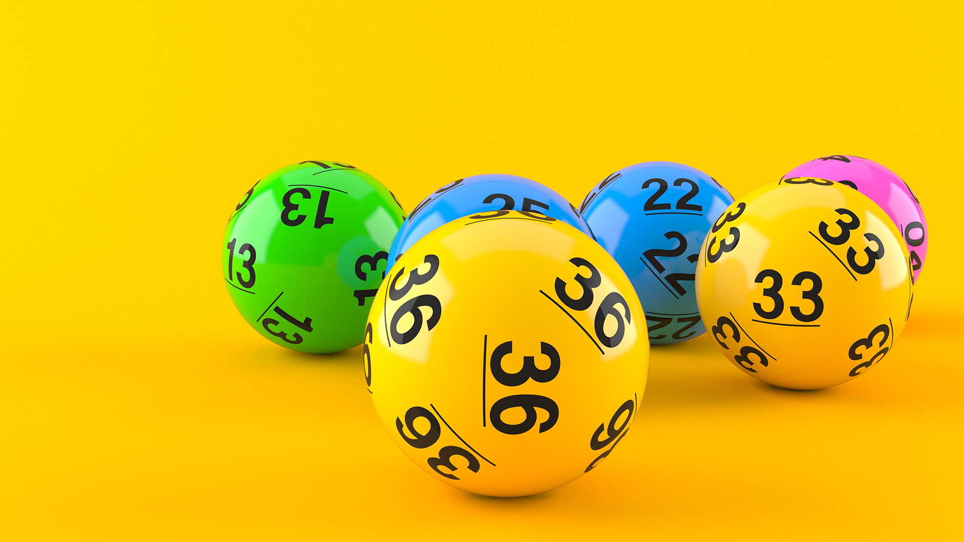 The winning combination - Random Colour Animal